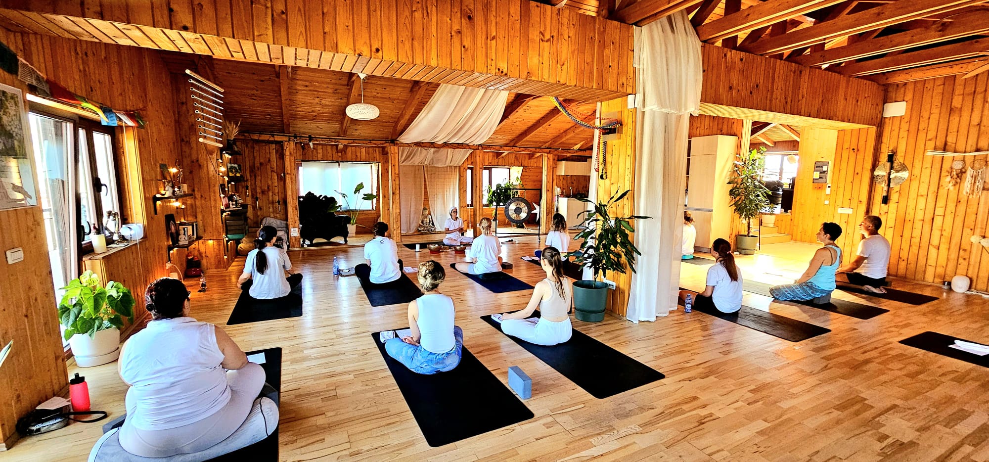 The habit of meditation. Developing the meditative mind. - ElephantYogi
